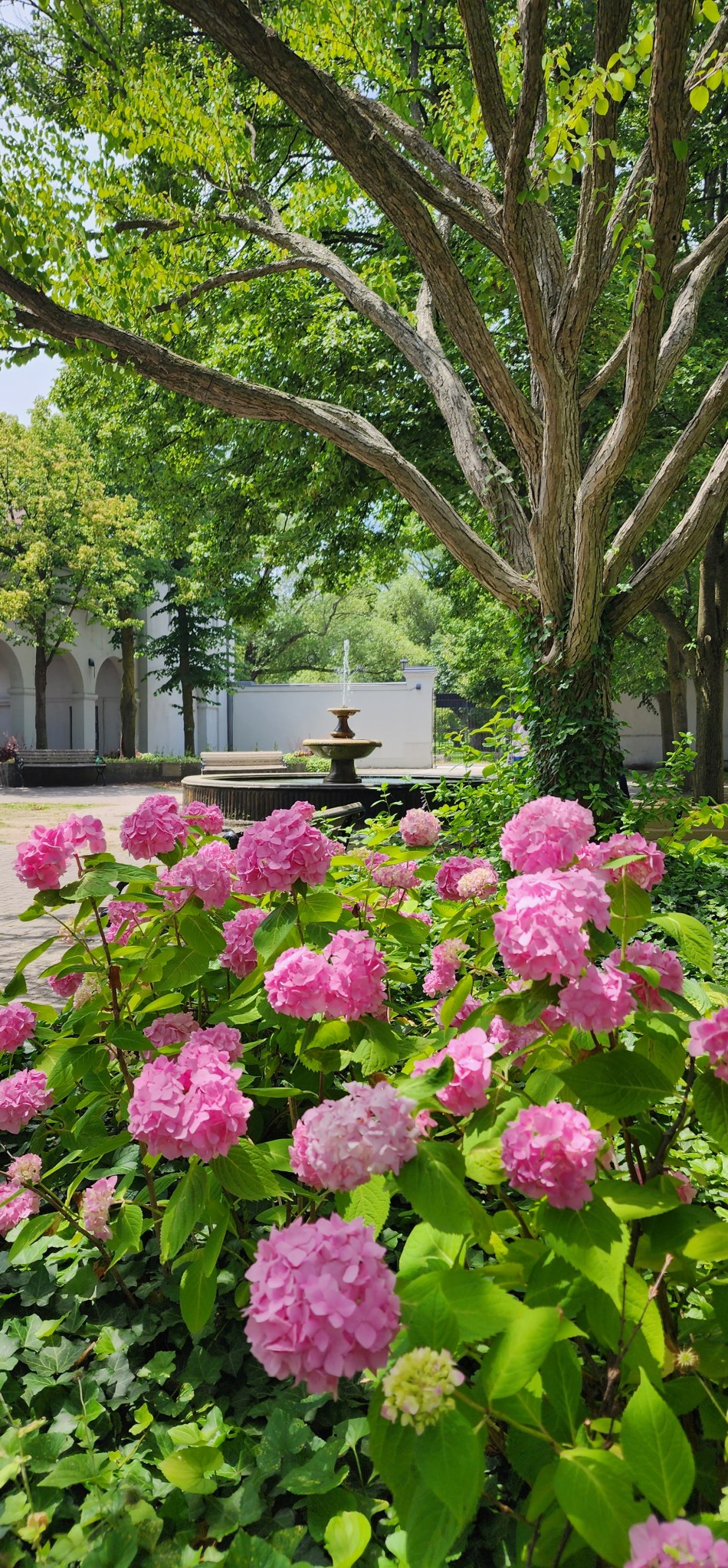 Sunnyside Gus Ryder Pool and Marilyn Bell Park: Toronto, ON, Canada ...